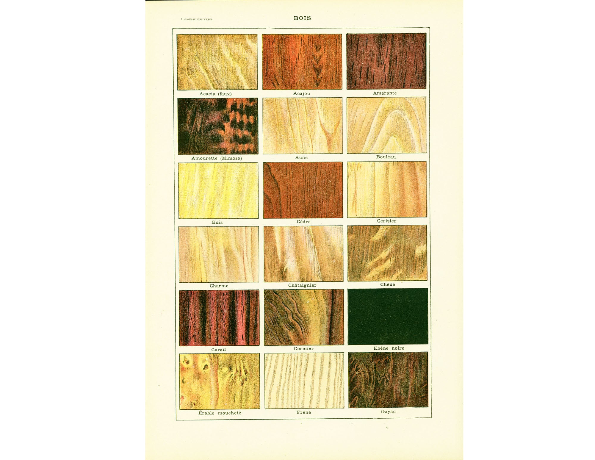 1930 Antique Woodworking Chart print Wood veneer Marquetry | Etsy