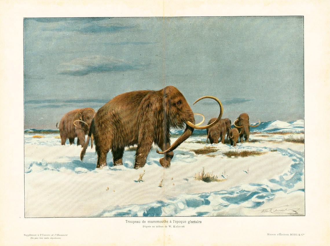 1908 Mammoth Ice Age Landscape Large Antique print Original | Etsy