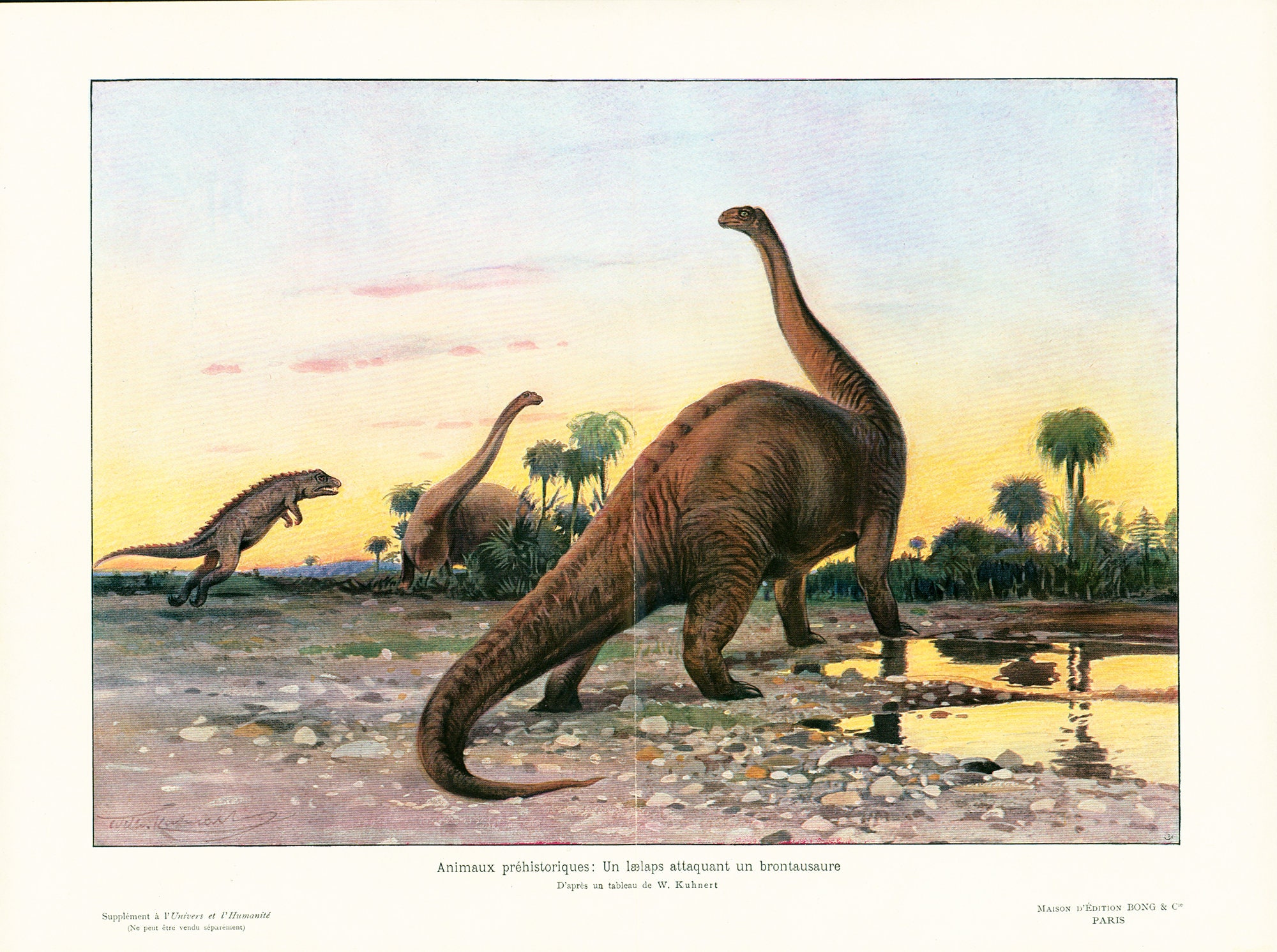 Brachiosaurus Vs Brontosaurus