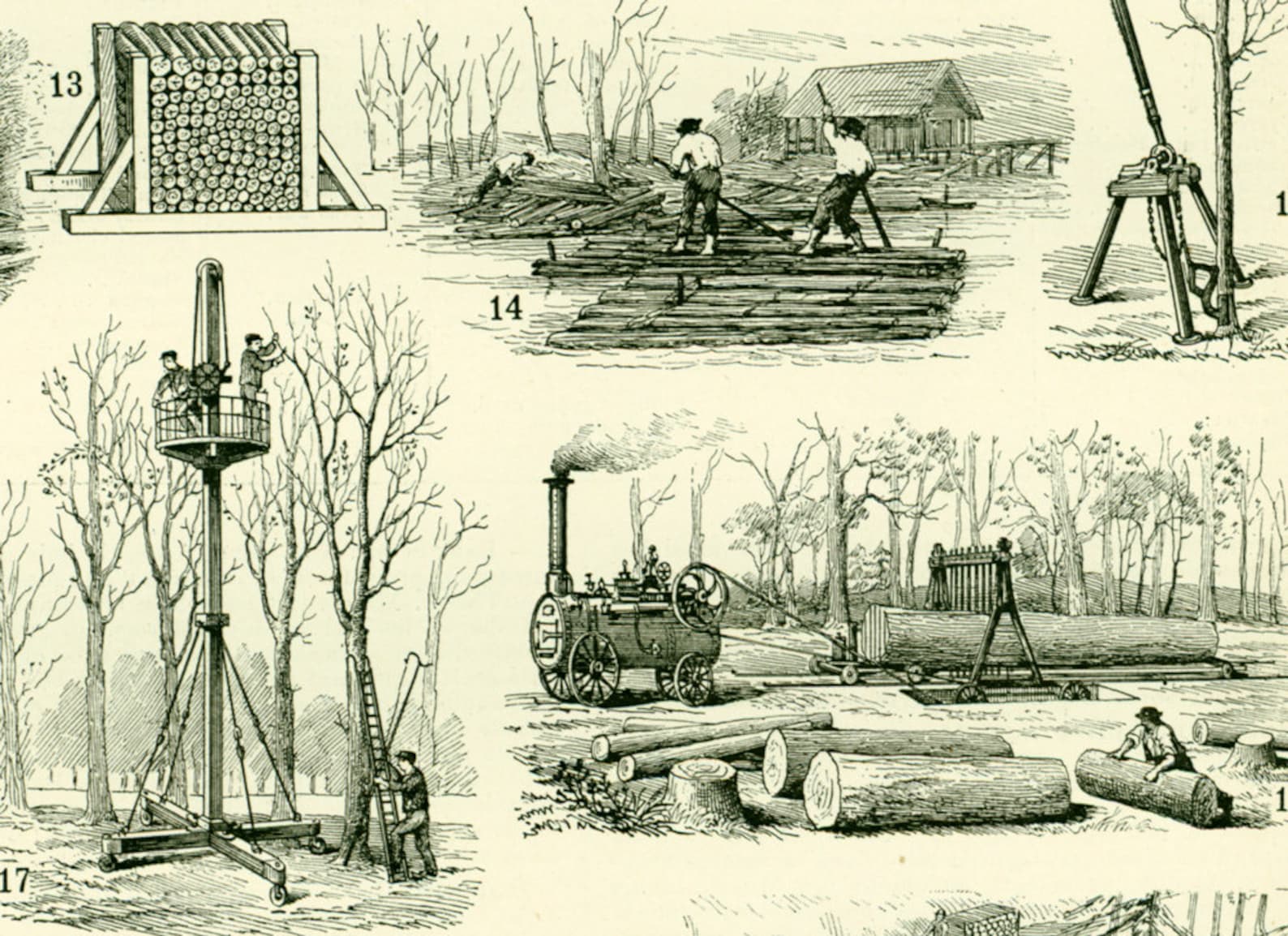 1897 Antique Logging Print, Timber Industry, Antique Large Size ...