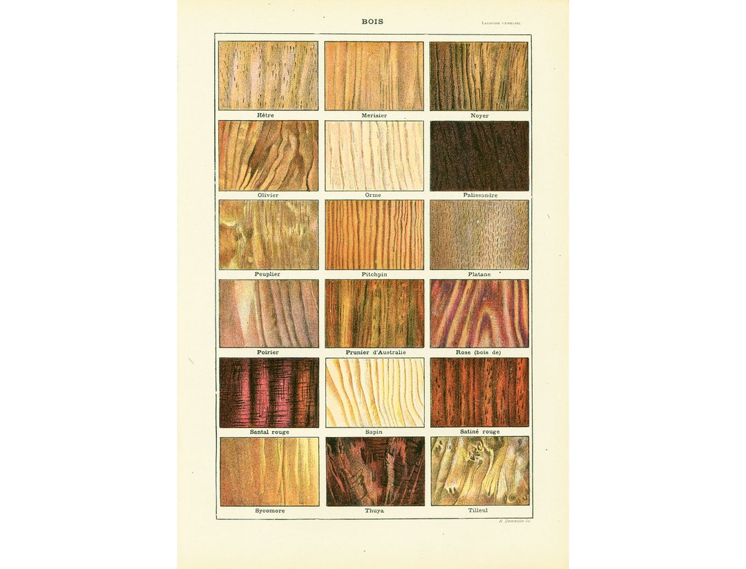 1930 Antique Woodworking Chart Print Wood Veneer Marquetry Vintage ...