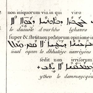 1745 Syriac Alphabets Language Antique Print From 18th Century ...