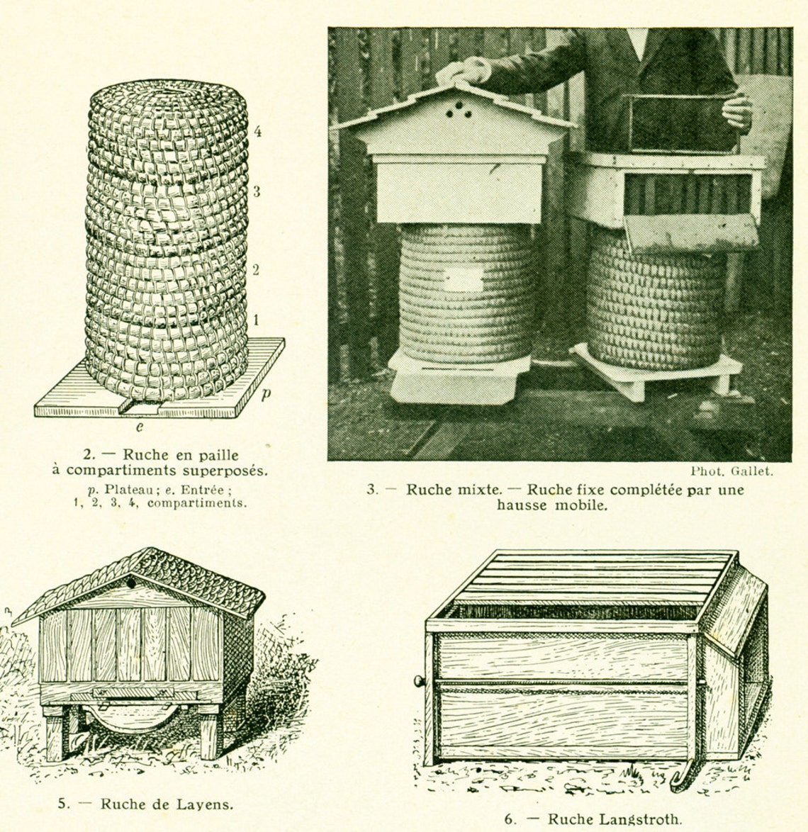 1922 Apiculture Ruche Paille Ruche Layens Ruche Dadant | Etsy