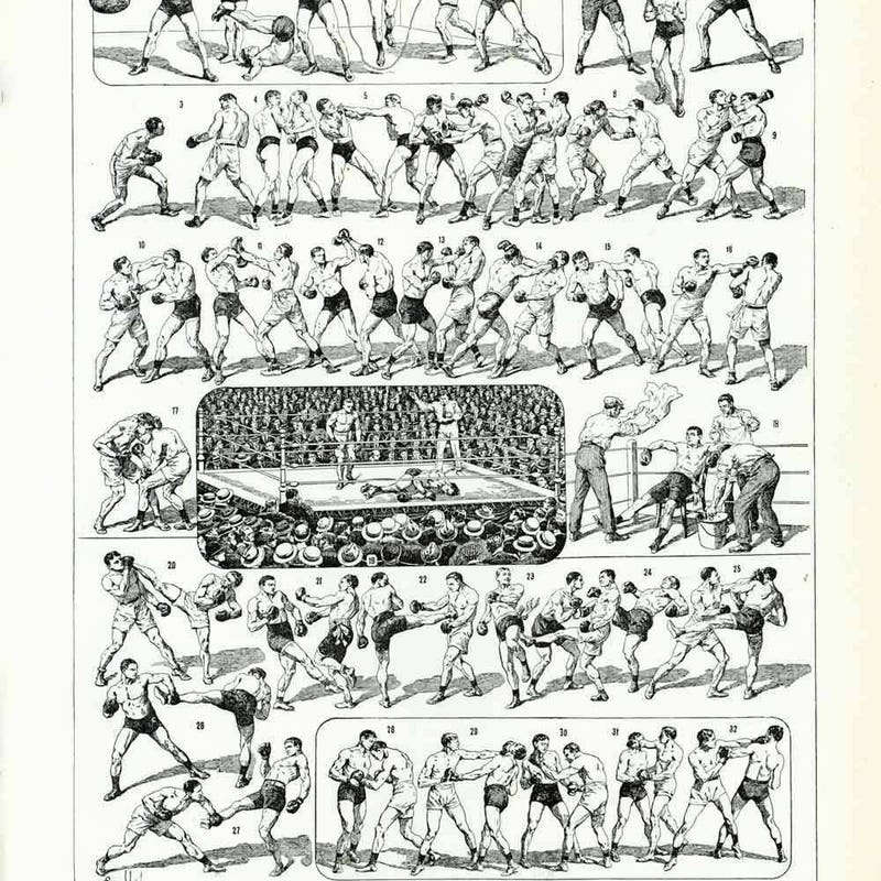 Antique Boxing - Etsy