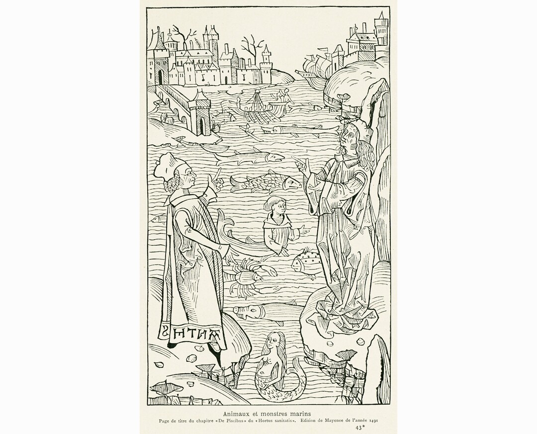 1908 Monstres marins Cheval de mer Licorne Homard geant calmar colossal ...