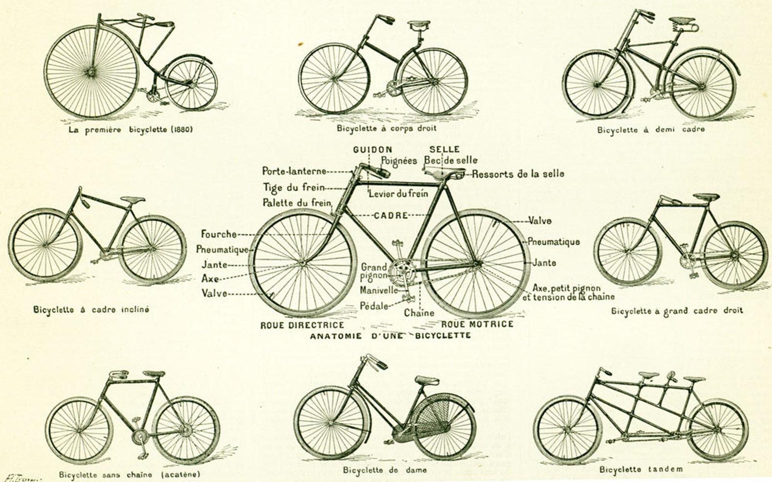 1897 Vintage Bike Print. Antique Cycle Illustration Original Larousse ...