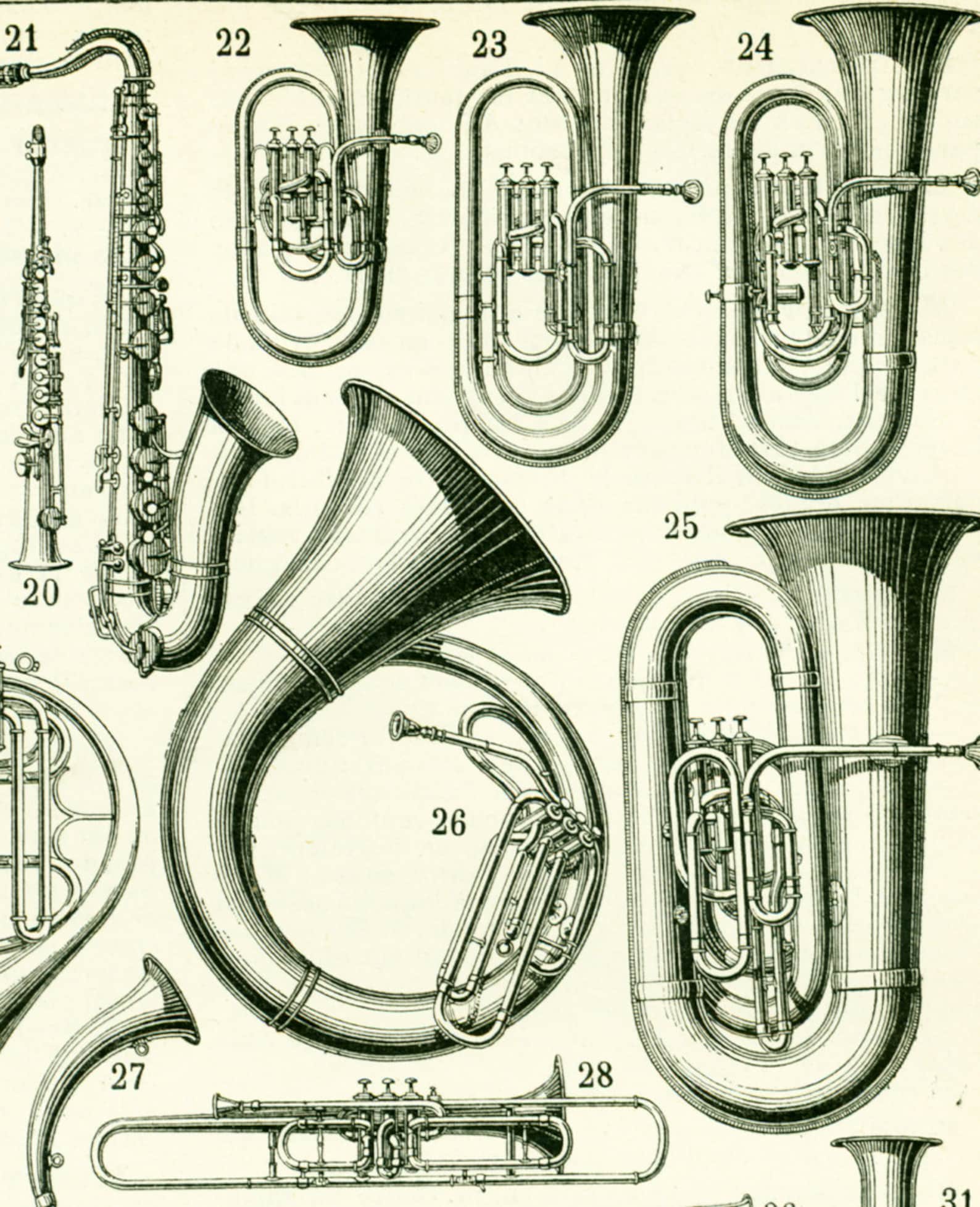 1897 Antique Musical Instruments Violin Guitar Piano Harp Flut Antique ...