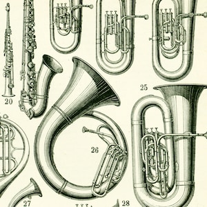 1897 Antique Musical Instruments Violin Guitar Piano Harp Flut Antique ...