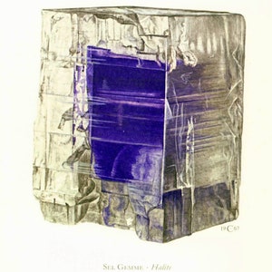 1970 Vintage Rock Salt Illustration. Halite. Antique Earth Science ...