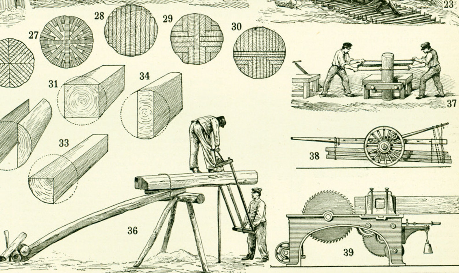1897 Antique Logging Print Timber Industry Antique Large - Etsy