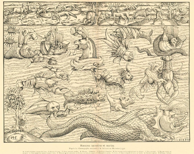 1908 Monstres marins Cheval de mer Licorne Homard geant calmar colossal ...