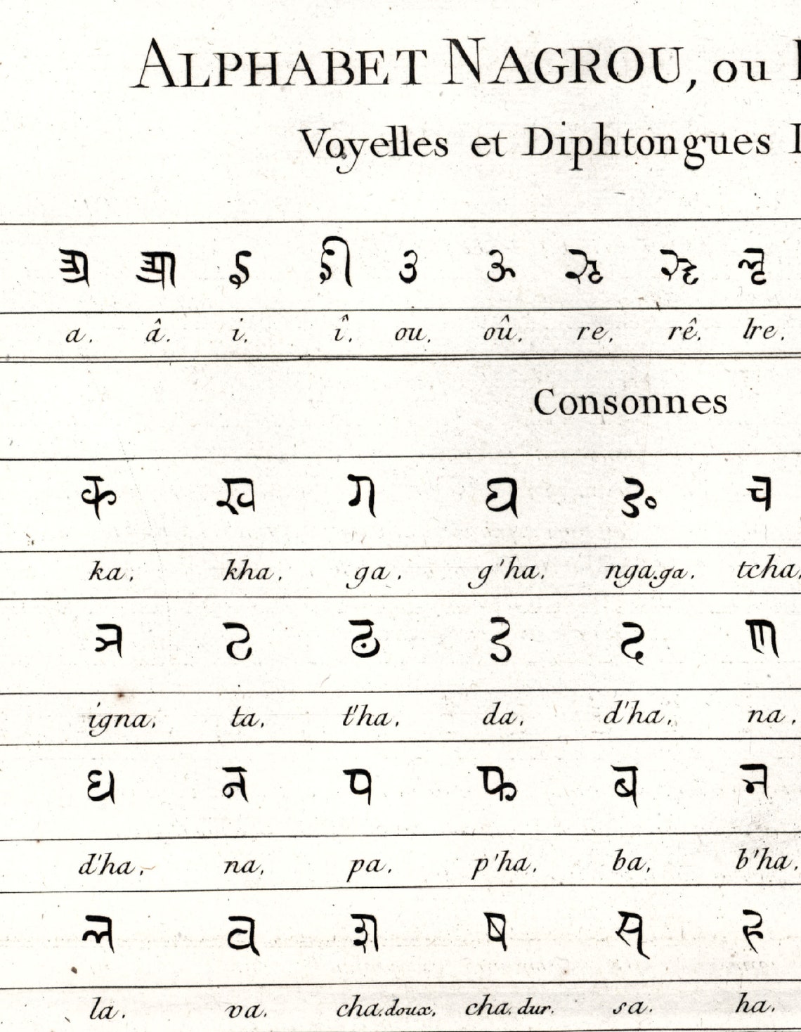 1783 Sanskrit Script Alphabets Language Antique Print From - Etsy 1783 Sanskrit Script Alphabets Language Antique Print From - Etsy