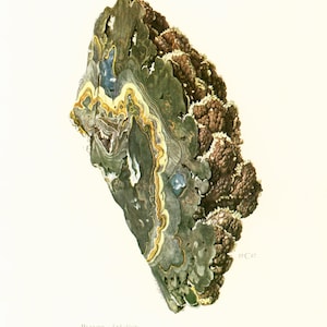 1970 Vintage Sphalerite Illustration. Antique Crystal Prints. Gemstone ...