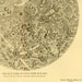 1908 Map of the Moon. Antique Moon Map. Astronomy. Astronomical. Earth ...