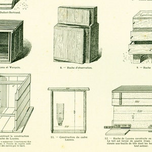 1922 Apiculture Ruche Paille, Ruche Layens, Ruche Dadant, Abeille, Miel ...
