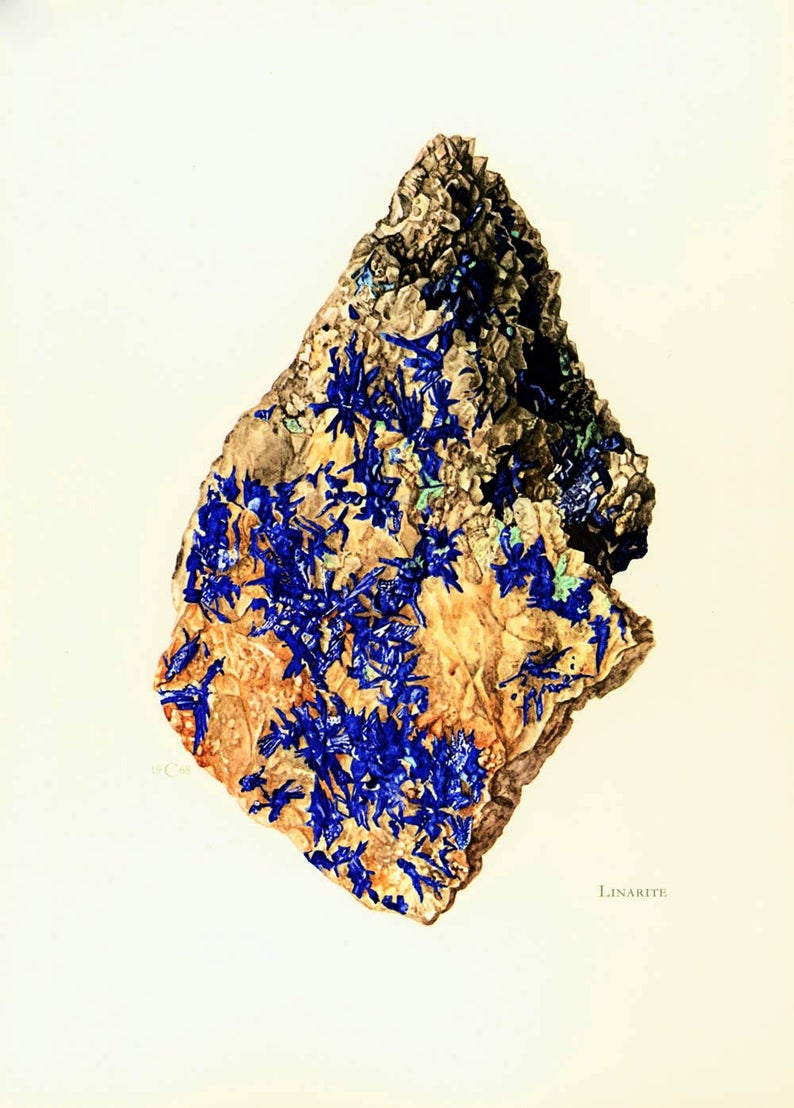 1970 Vintage Blue Linarite Crystals Print . Antique Earth Science ...