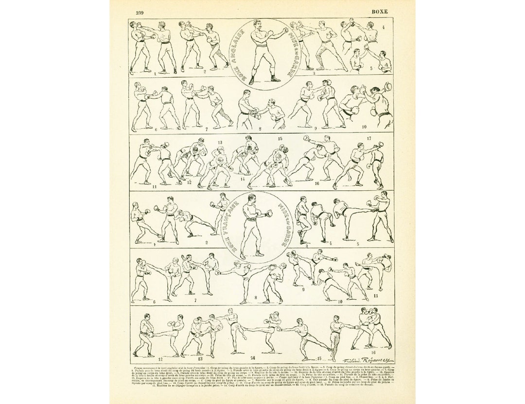1897 Boxe Teaching Antique Print Larousse, Sports 1900 Boxing Chart ...