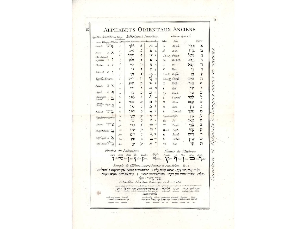1745 Samaritan Hebrew Alphabets Language Antique Print From 18th ...