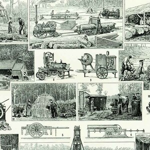 133 Antique Logging Print, Timber Industry, Antique Large Size Larousse ...