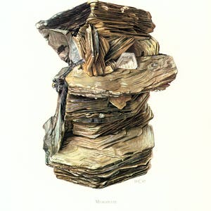 1970 Vintage Muscovite Illustration. Star Mica Yellow Muscovite Mica ...