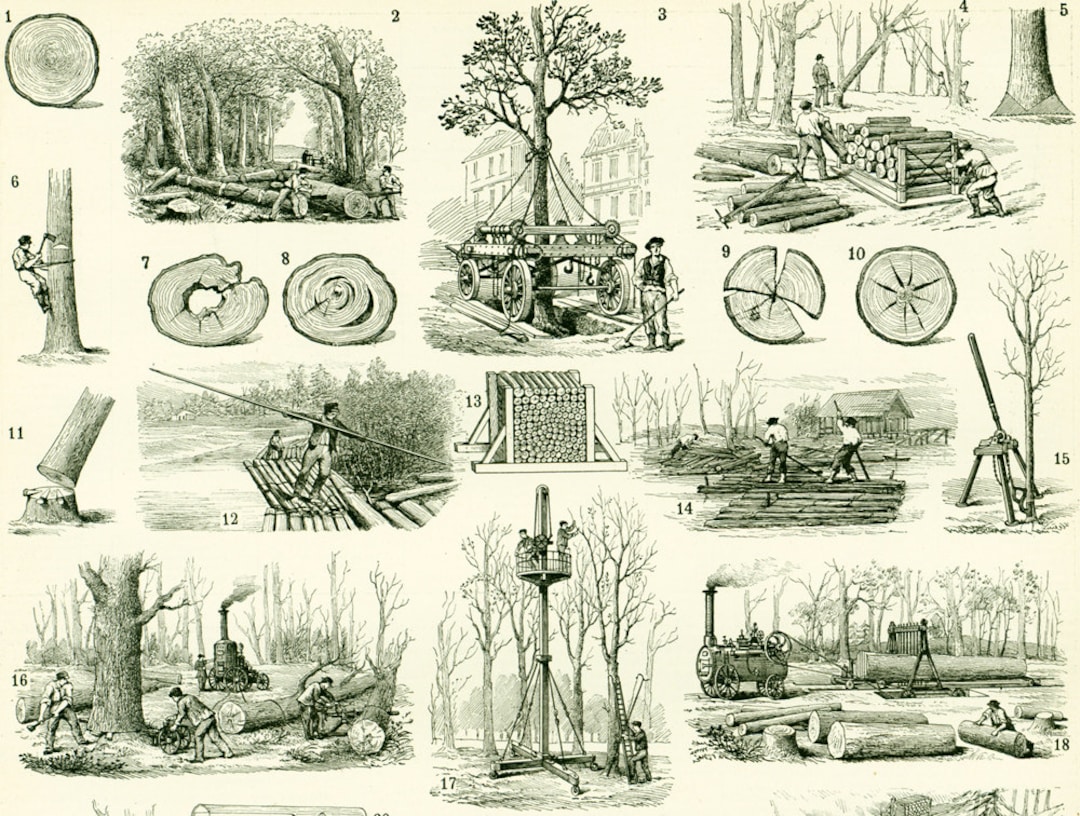 1897 Antique Logging Print, Timber Industry, Antique Large Size ...