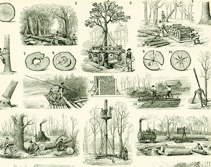 1897 Antique Logging Print, Timber Industry, Antique Large Size ...