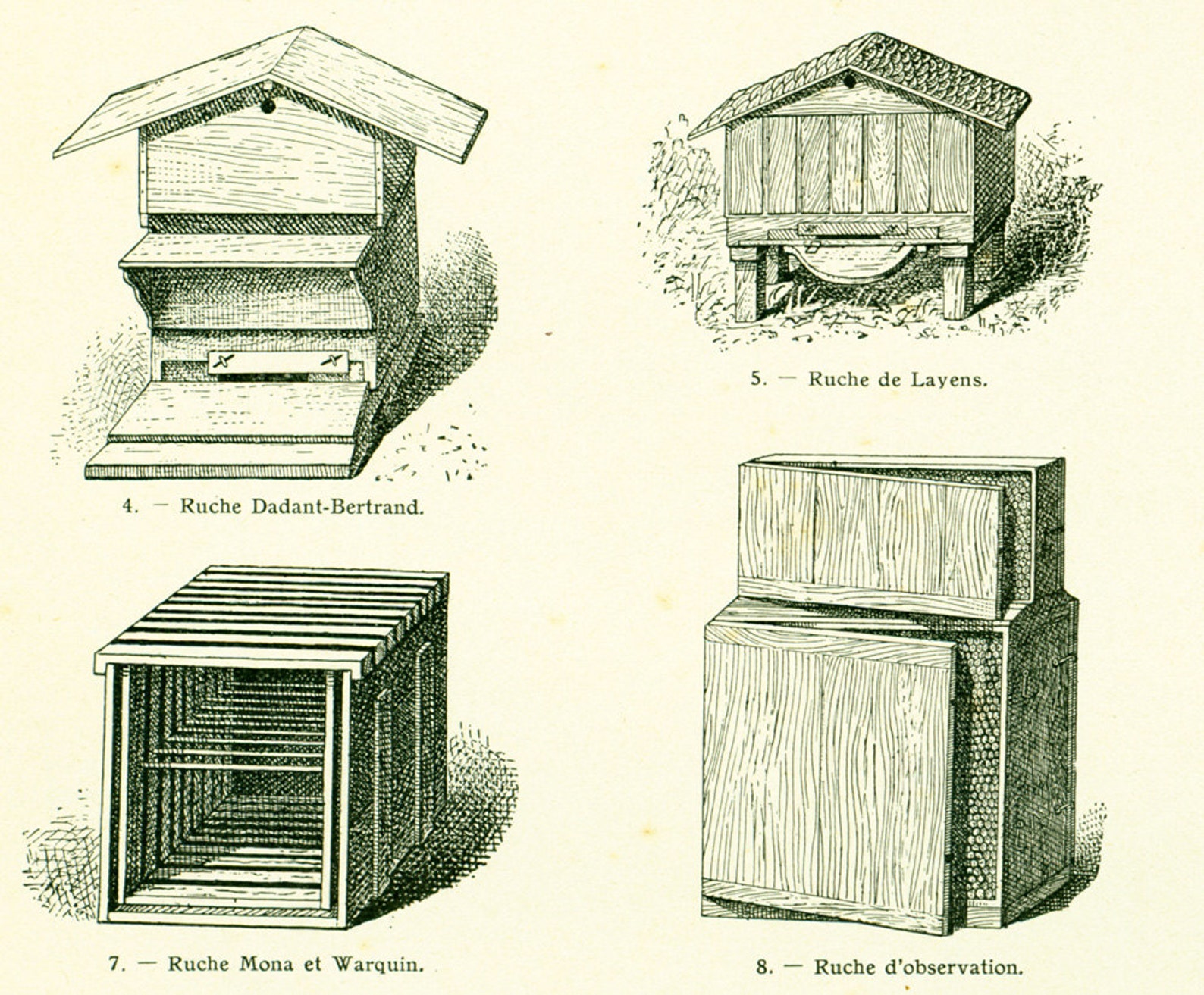 1922 Apiculture Ruche Paille, Ruche Layens, Ruche Dadant, Abeille, Miel ...