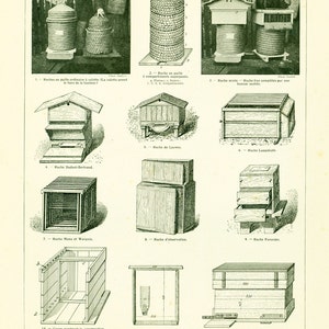1922 Apiculture Ruche Paille, Ruche Layens, Ruche Dadant, Abeille, Miel ...