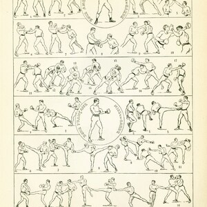 1897 Boxe Teaching Antique Print Larousse, Sports 1900 Boxing Chart ...