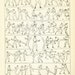 1897 Boxe Teaching Antique Print Larousse, Sports 1900 Boxing Chart ...