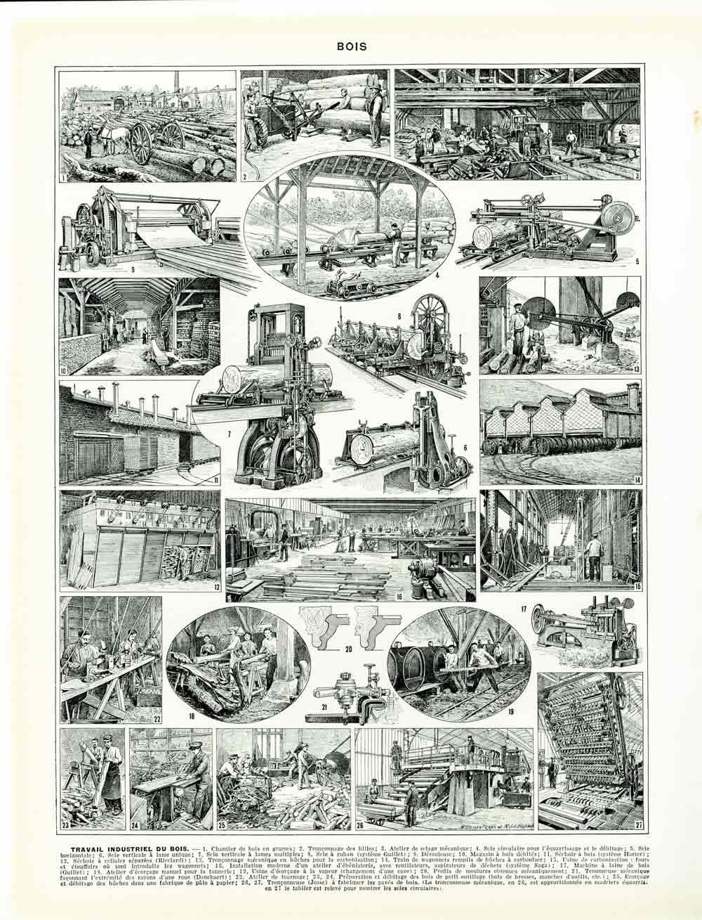 133 Antique Logging Print Timber Industry Antique Large Size - Etsy