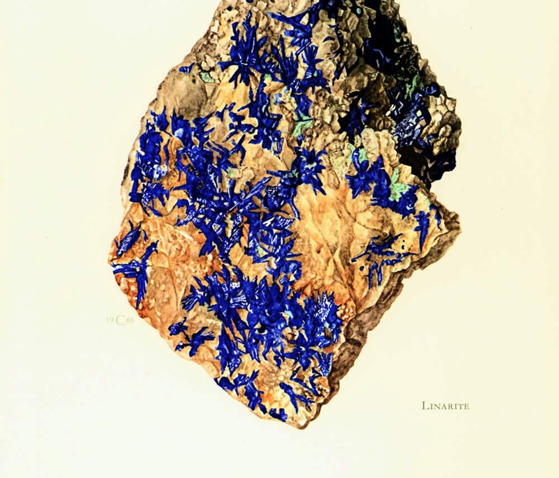 1970 Vintage Blue Linarite Crystals Print . Antique Earth Science ...