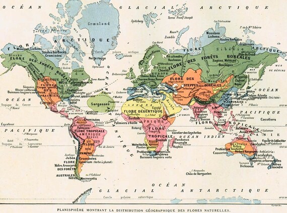 Printable World Climate Map