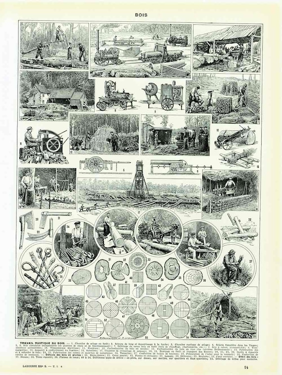 133 Antique Logging Print Timber Industry Antique Large Size - Etsy