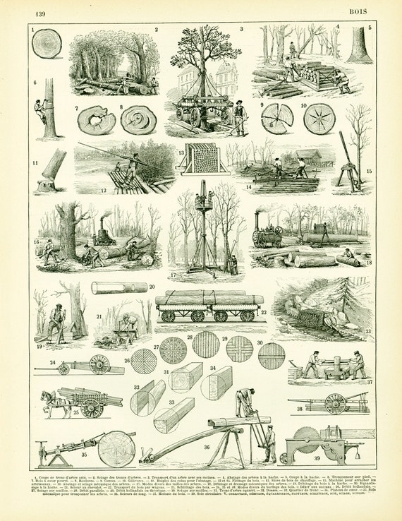 Antique Logging Tools
