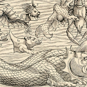 1908 Monstres marins Cheval de mer Licorne Homard geant calmar | Etsy