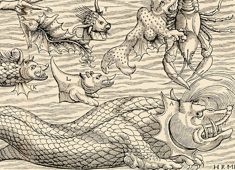 1908 Monstres marins Cheval de mer Licorne Homard geant calmar | Etsy