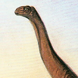 1908 Dinosaurs Brontosaurus Jurassic Landscape Large Antique Print ...