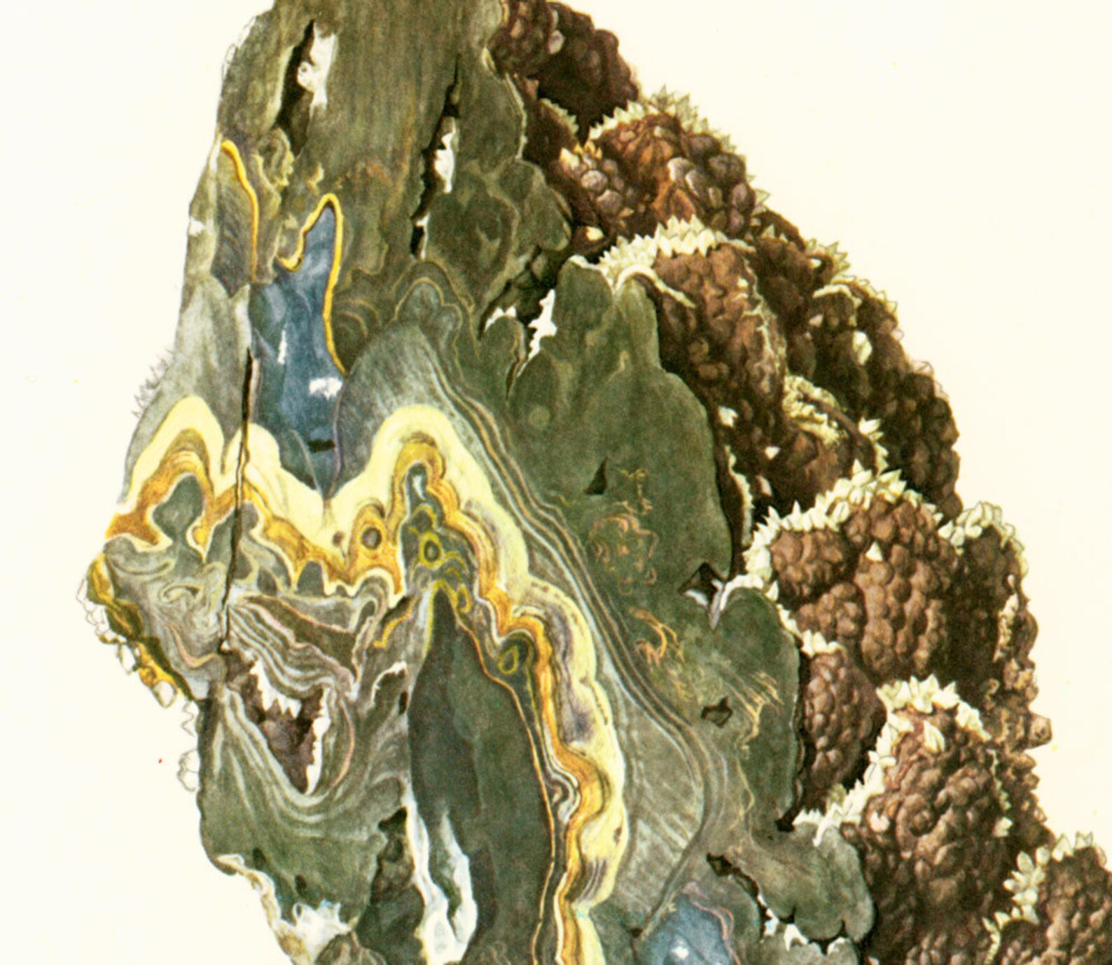 1970 Vintage Sphalerite Illustration. Antique Crystal Prints. Gemstone ...