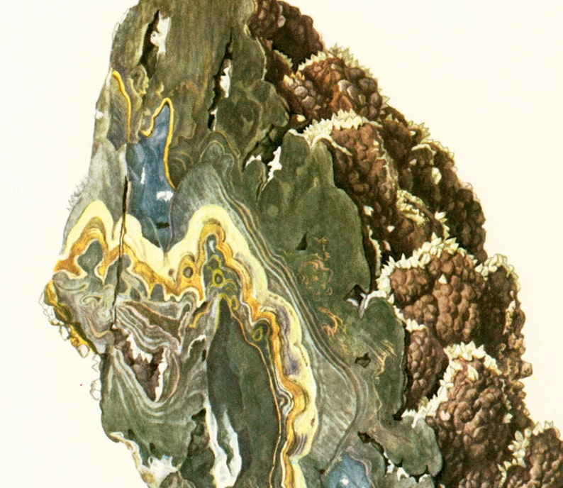 1970 Vintage Sphalerite Illustration. Antique Crystal Prints. Gemstone ...