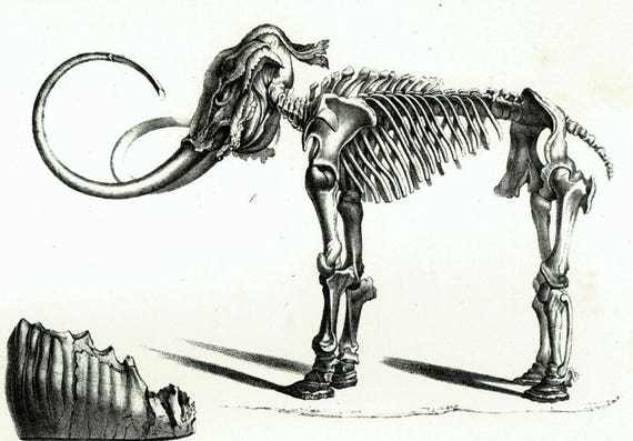 classification on emaze