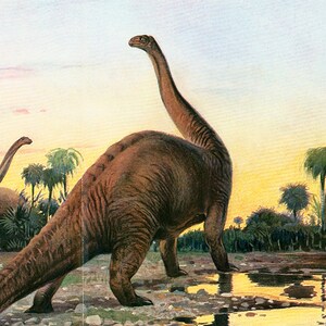 1908 Dinosaurs Brontosaurus Jurassic Landscape Large Antique Print ...