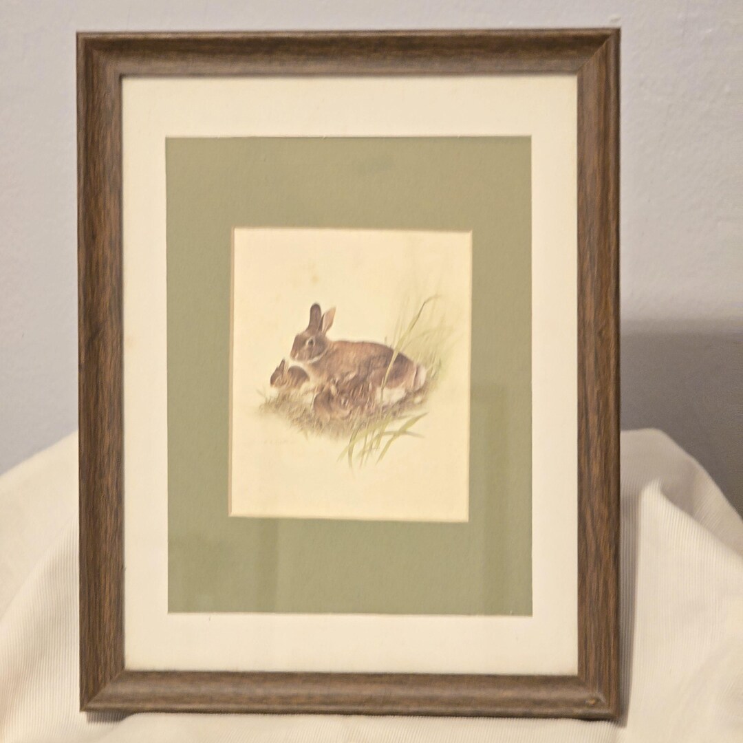 Vintage M.G. Glen Loates Glazed Framed Matted Print, Mother and Bunnies ...