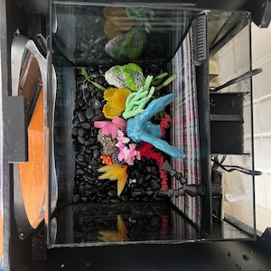 Retro Motorola TV Aquarium | Unique 1950s Vintage TV Fish Tank ...