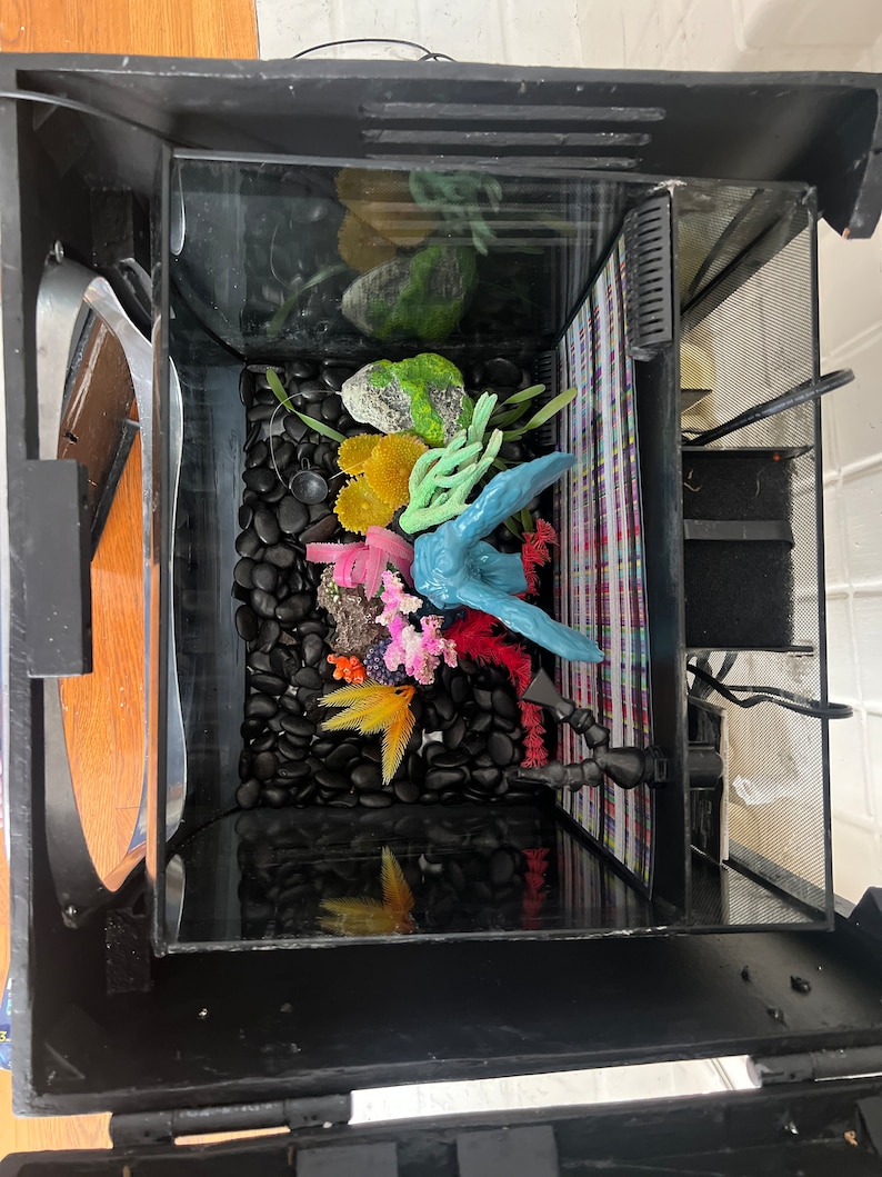 Retro Motorola TV Aquarium | Unique 1950s Vintage TV Fish Tank ...