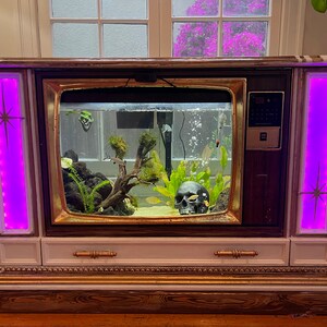 Boob Tube Fish Tank: 1982 Vintage Television Fish Tank/aquarium - Etsy