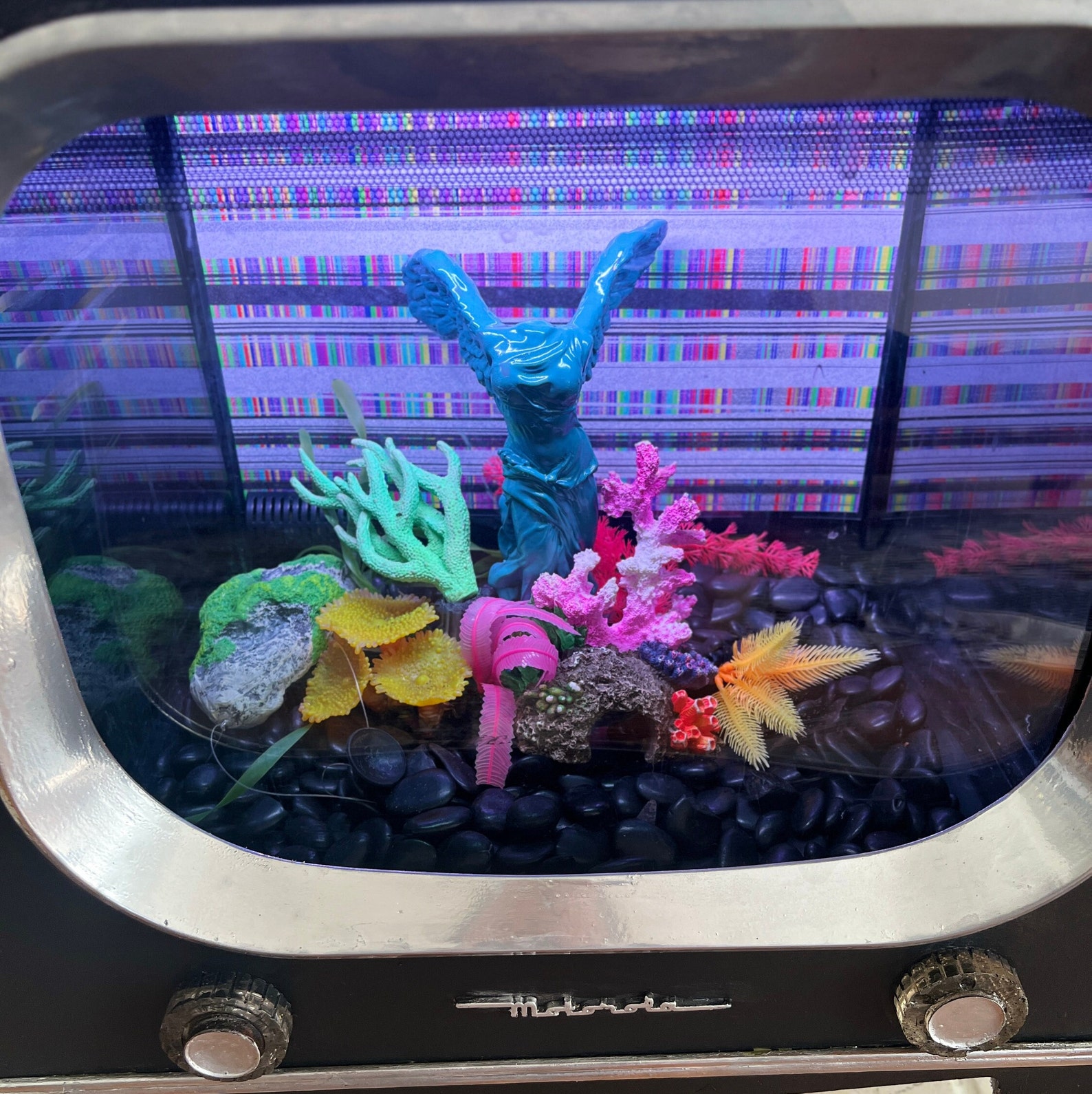 Retro Motorola TV Aquarium | Unique 1950s Vintage TV Fish Tank ...