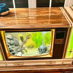 Boob Tube Fish Tank: 1982 Vintage Television Fish Tank/aquarium - Etsy