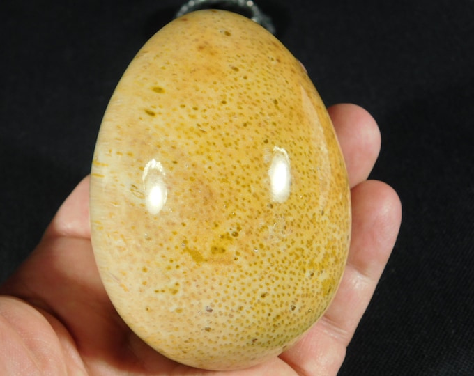 A Big Egg Shaped Sculpture Made From 100% Natural Louisiana PALMWOOD ...