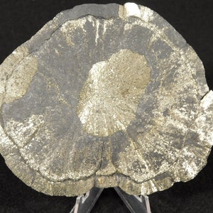 Big Pyrite Crystal SUN or Pyrite Crystal DISC 100% Natural From ...